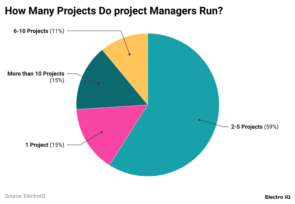 Project Management Statistics and Facts (2025)